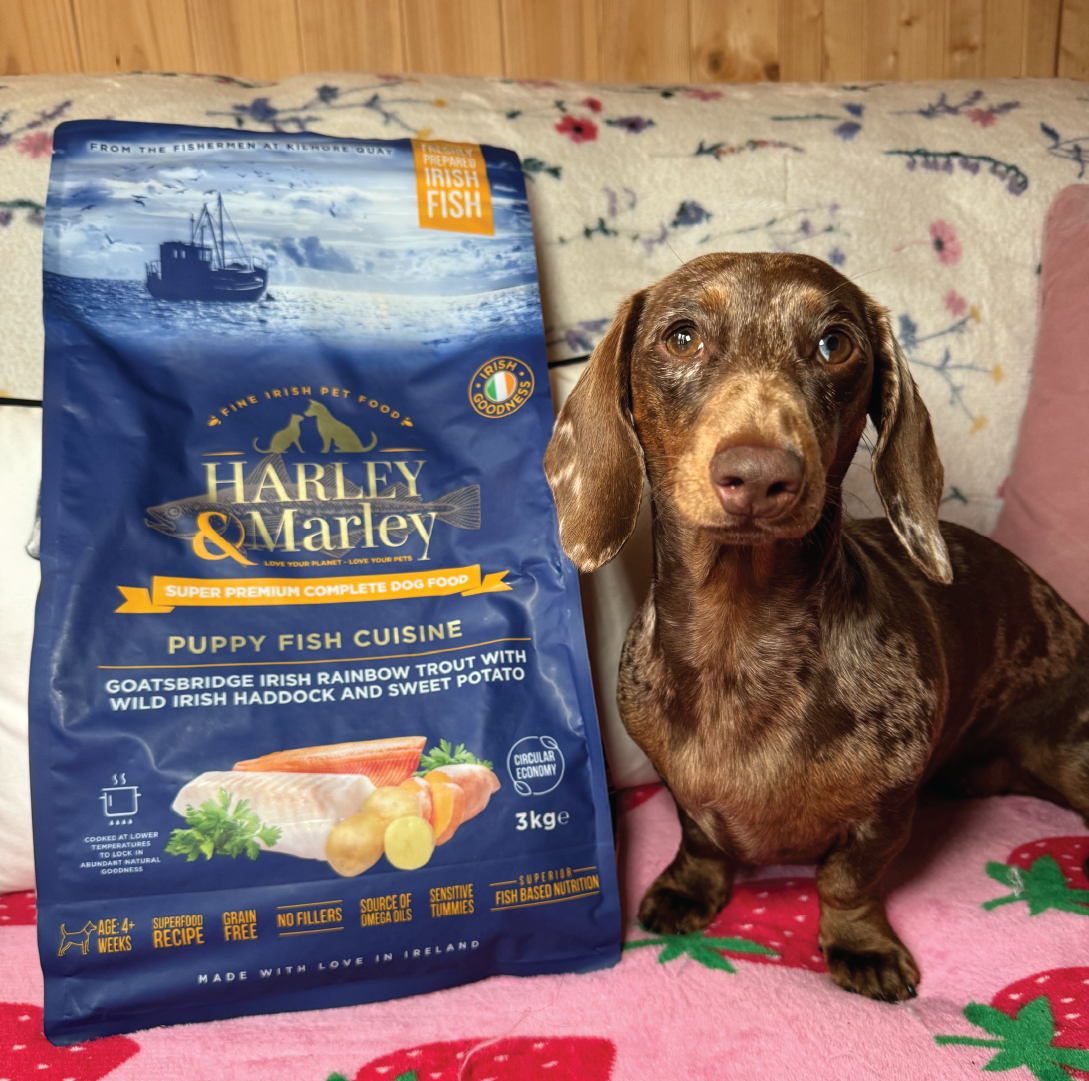 Harley & Marley – Premium Healthy Fish-Based Pet Food in Ireland