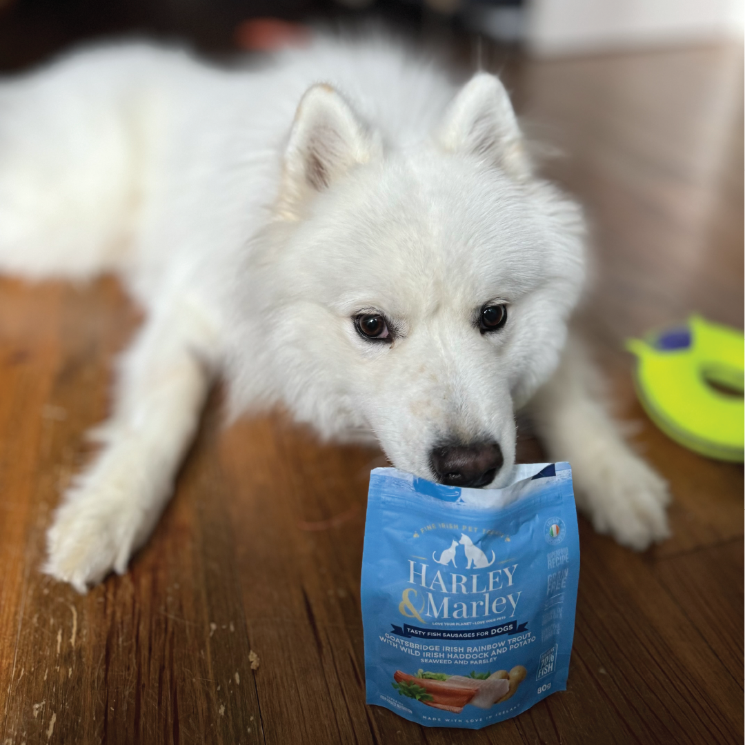 Harley & Marley – Premium Healthy Fish-Based Pet Food in Ireland